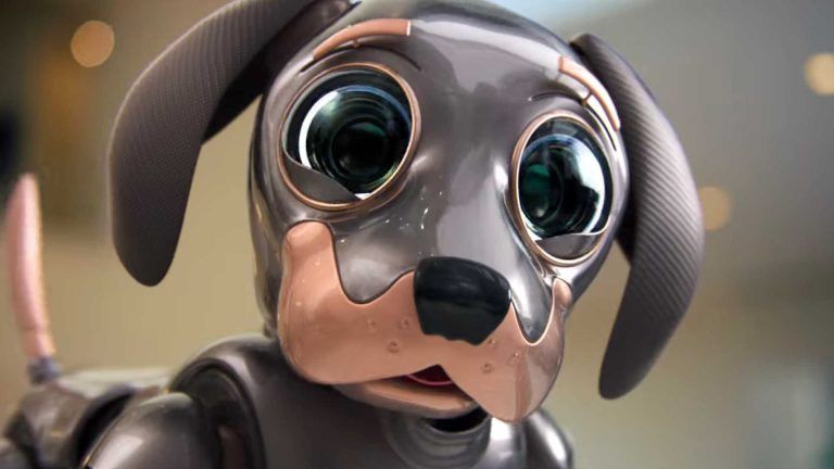 สุนัขหุ่นยนต์ขี้อ้อน KIA Robo Dog ก่อนเปิดตัว 13 กุมภาพันธ์ 2022 - รถ ...